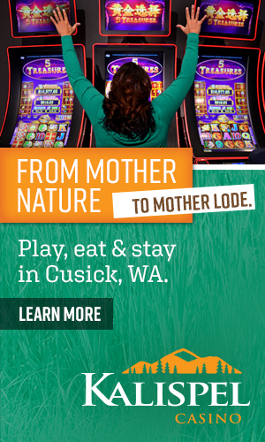 Driving Map - International Selkirk Loop