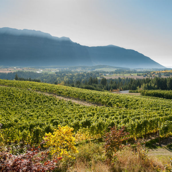 Creston - International Selkirk Loop